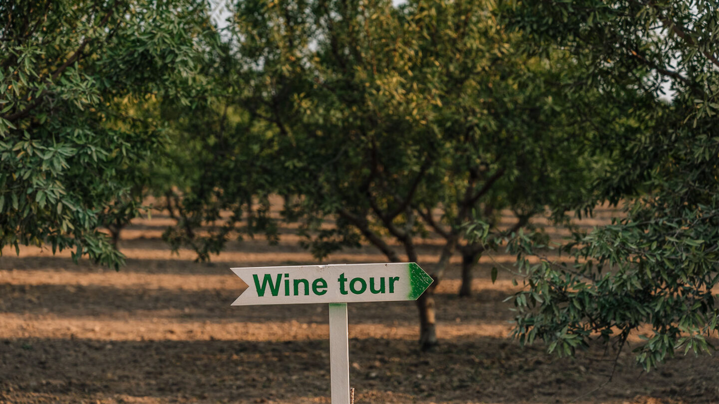 Wine Tour in Sicily: wine tasting at Planeta winery
